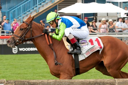 She Feels Pretty - Horse Profile - BloodHorse