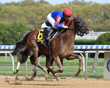 Ringy Dingy - Horse Profile - BloodHorse