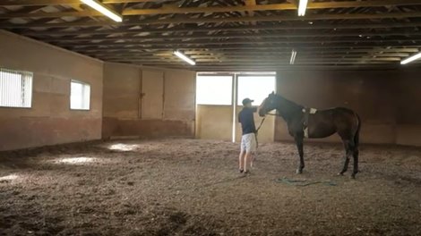 Beyond the Headlines: Adrian Regan - Video - - BloodHorse
