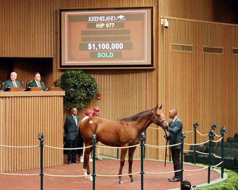 $1.1M Curlin Colt to Carlisle on Day 4 at Keeneland - BloodHorse