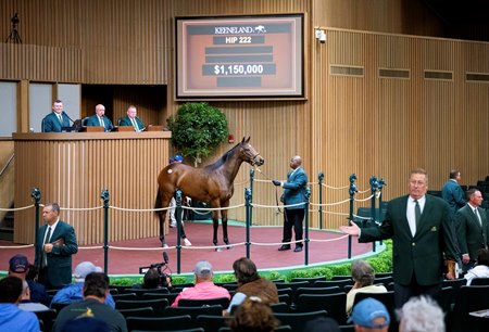 Speedway Stables Secures $1.2 Million Gun Runner Filly - BloodHorse