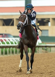 Endlessly - Horse Profile - BloodHorse