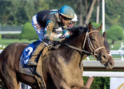 Nutella Fella - Horse Profile - BloodHorse