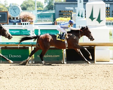 Parchment Party - Horse Profile - BloodHorse