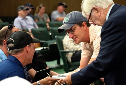 Believe You Can - Horse Profile - BloodHorse