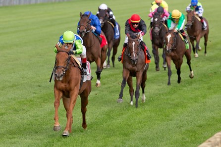 She Feels Pretty - Horse Profile - BloodHorse