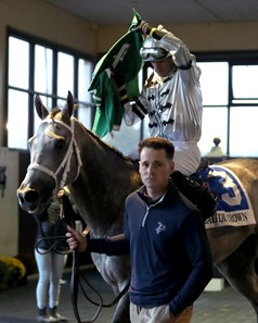 Saudi Crown - Horse Profile - BloodHorse