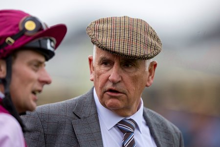 Irish Trainers Chief Says Comer Scandal 'Cast a Shadow' - BloodHorse