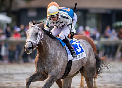 Saudi Crown - Horse Profile - BloodHorse