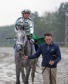Saudi Crown - Horse Profile - BloodHorse