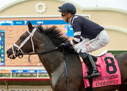 Endlessly - Horse Profile - BloodHorse