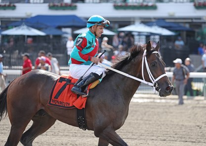 Great Navigator - Horse Profile - BloodHorse