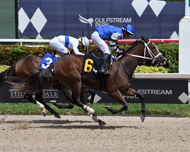 Unrelentless - Horse Profile - BloodHorse