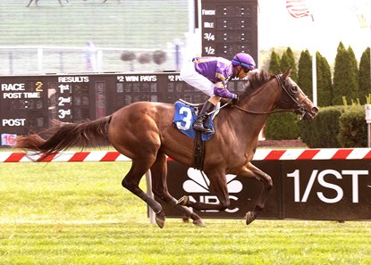 Monticello - Horse Profile - BloodHorse