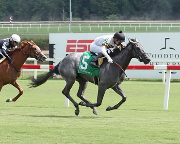 Roanan Goddess - Horse Profile - BloodHorse