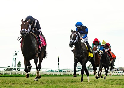 Endlessly - Horse Profile - BloodHorse