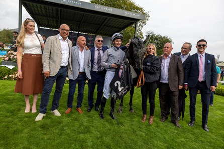 Fallen Angel (GB) - Horse Profile - BloodHorse