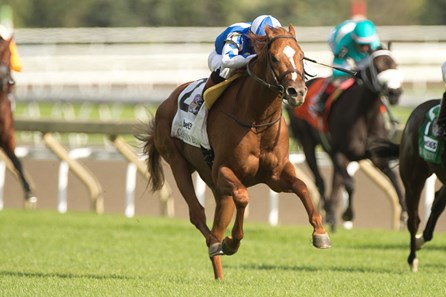 Carson's Run - Horse Profile - BloodHorse