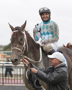 King Kumbalay - Horse Profile - BloodHorse