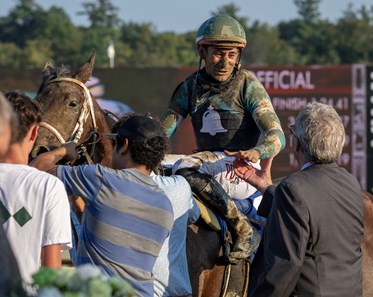 Nutella Fella - Horse Profile - BloodHorse