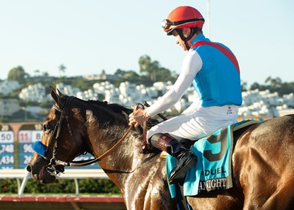 Arabian Knight - Horse Profile - BloodHorse