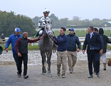 Saudi Crown - Horse Profile - BloodHorse