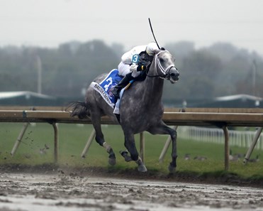 Saudi Crown - Horse Profile - BloodHorse