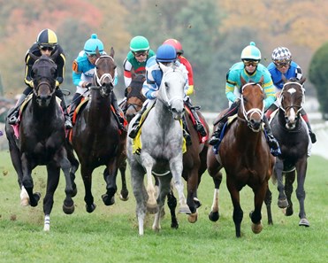 Runaway Storm - Horse Profile - BloodHorse