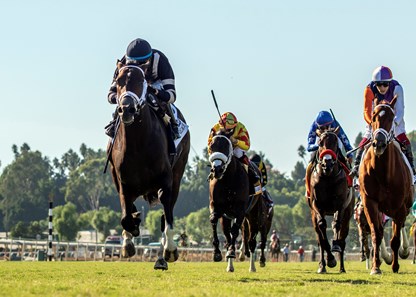 Endlessly - Horse Profile - BloodHorse