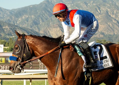 Muth - Horse Profile - BloodHorse