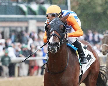 Dornoch - Horse Profile - BloodHorse
