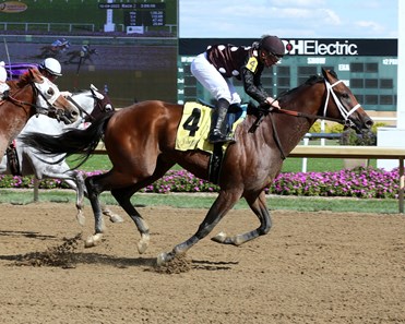 Bubba Can Dance - Horse Profile - BloodHorse