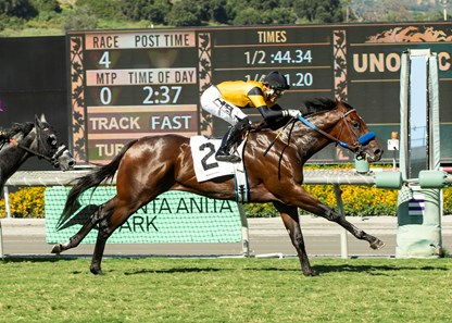 Slider - Horse Profile - BloodHorse