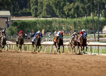 Chatalas - Horse Profile - BloodHorse