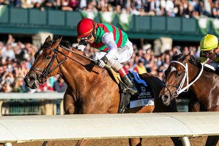 Gun Runner - Horse Profile - BloodHorse