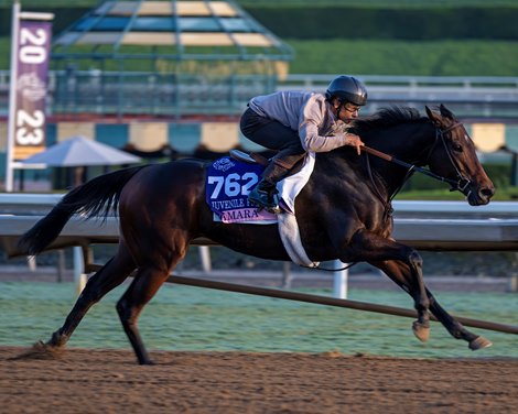 Tamara Set for Long-Awaited Return in Chillingworth - BloodHorse