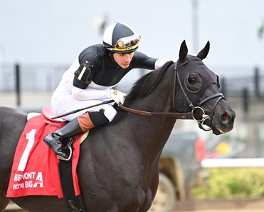 El Grande O - Horse Profile - BloodHorse