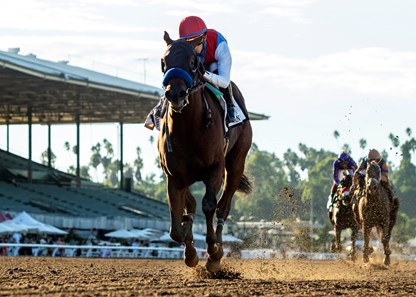 Muth - Horse Profile - BloodHorse