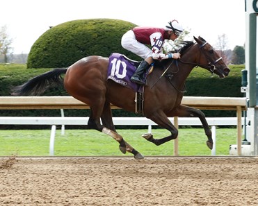 Thorpedo Anna - Horse Profile - BloodHorse