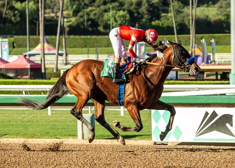 Practical Move Wins First Race Back Since SA Derby - BloodHorse