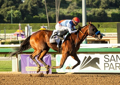 Muth - Horse Profile - BloodHorse