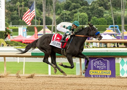 Adare Manor - Horse Profile - BloodHorse
