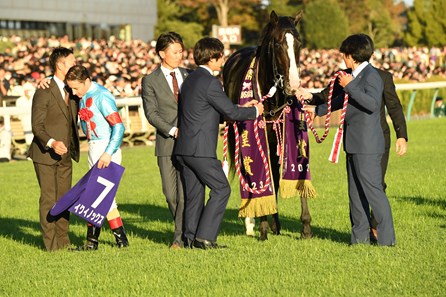 Equinox (JPN) - Horse Profile - BloodHorse