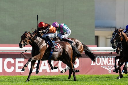 Ace Impact (IRE) - Horse Profile - BloodHorse