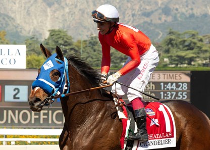 Chatalas - Horse Profile - BloodHorse