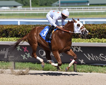 Sir Flash - Horse Profile - BloodHorse
