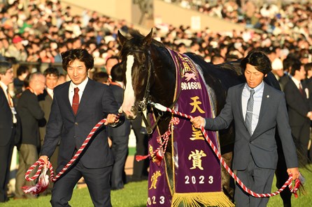 Equinox (JPN) - Horse Profile - BloodHorse