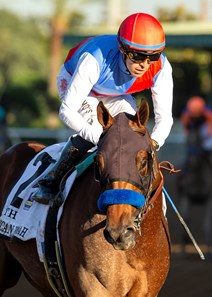 Muth - Horse Profile - BloodHorse