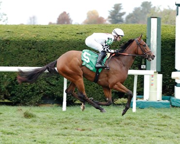 Lady de Berry - Horse Profile - BloodHorse