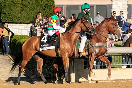 Gun Runner - Horse Profile - BloodHorse